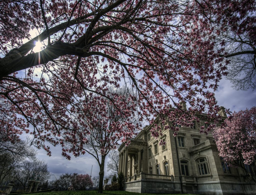 Steff Hedenkamp – Connect | Create | Change